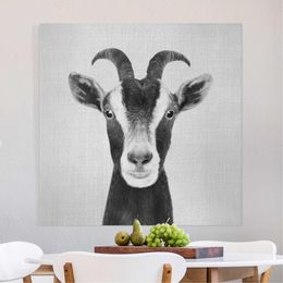 Bilderwelten Leinwandbild Tiere Motiv Kunstdruck schwarz weiss - Ziege Zora Schwarz Wei&szlig; - Wandbild XXL Kinderzimmer Baby M&auml;dchen Jungen