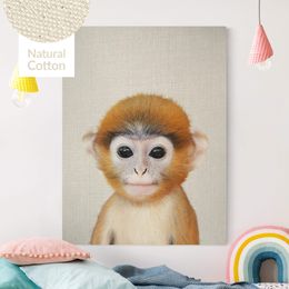Bilderwelten Leinwandbild Baby Affe Anton