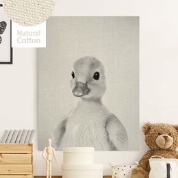 Bilderwelten Leinwandbild Baby Ente Emma Schwarz Wei&szlig;