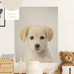 Bilderwelten Leinwandbild Baby Golden Retriever Gizmo