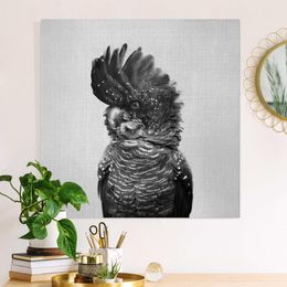 Bilderwelten Leinwandbild Tiere Motiv Kunstdruck schwarz weiss - Kakadu Kanye Schwarz Wei&szlig; - V&ouml;gel XXL Kinderzimmer Baby M&auml;dchen Jungen
