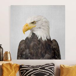 Bilderwelten Leinwandbild Seeadler Sokrates