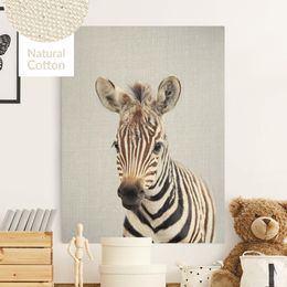 Bilderwelten Leinwandbild Baby Zebra Zoey