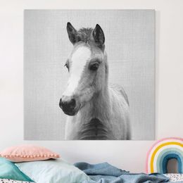 Bilderwelten Leinwandbild Tiere Motiv Kunstdruck schwarz weiss - Baby Pferd Philipp Schwarz Wei&szlig; - Pferde XXL Kinderzimmer Baby M&auml;dchen Jungen