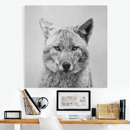 Bilderwelten Leinwandbild Tiere Motiv Kunstdruck schwarz weiss - Kojote Kalle Schwarz Wei&szlig; - Wandbild XXL Kinderzimmer Baby M&auml;dchen Jungen