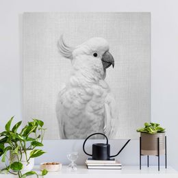Bilderwelten Leinwandbild Tiere Motiv Kunstdruck schwarz weiss - Kakadu Kiki Schwarz Wei&szlig; - V&ouml;gel XXL Kinderzimmer Baby M&auml;dchen Jungen