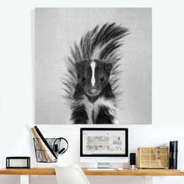 Bilderwelten Leinwandbild Tiere Motiv Kunstdruck schwarz weiss - Stinktier Stuart Schwarz Wei&szlig; - Wandbild XXL Kinderzimmer Baby M&auml;dchen Jungen
