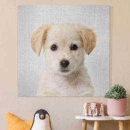 Bilderwelten Leinwandbild Tiere Motiv Kunstdruck schwarz weiss - Baby Golden Retriever Gizmo - Hund XXL Kinderzimmer Baby M&auml;dchen Jungen