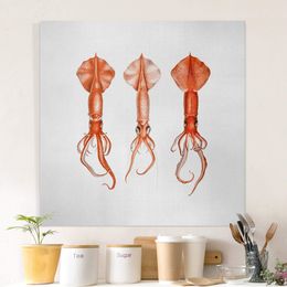Bilderwelten Leinwandbild Strand Illustration Kunstdruck rot - Vintage Illustration Rote Tintenfische - Unterwasser XXL Wohnzimmer Schlafzimmer