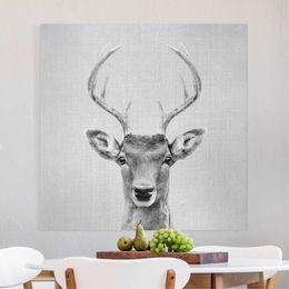 Bilderwelten Leinwandbild Tiere Motiv Kunstdruck schwarz weiss - Hirsch Heinrich Schwarz Wei&szlig; - Hirsch XXL Kinderzimmer Baby M&auml;dchen Jungen