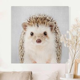 Bilderwelten Leinwandbild Tiere Motiv Kunstdruck schwarz weiss - Igel Ingolf - Wandbild XXL Kinderzimmer Baby M&auml;dchen Jungen