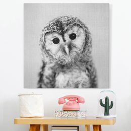 Bilderwelten Leinwandbild Tiere Motiv Kunstdruck schwarz weiss - Baby Eule Erika Schwarz Wei&szlig; - V&ouml;gel XXL Kinderzimmer Baby M&auml;dchen Jungen