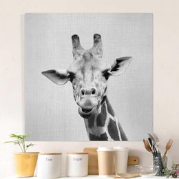 Bilderwelten Leinwandbild Giraffe Gundel Schwarz Wei&szlig;