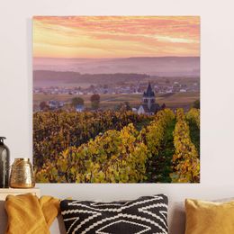 Bilderwelten Leinwandbild Natur Motiv Kunstdruck gelb - Weinplantage bei Sonnenuntergang - Sonnenuntergang XXL Wohnzimmer Schlafzimmer