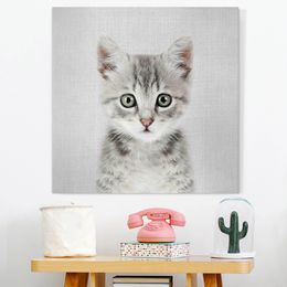 Bilderwelten Leinwandbild Tiere Motiv Kunstdruck schwarz weiss - Baby Katze Killi - Katze XXL Kinderzimmer Baby M&auml;dchen Jungen