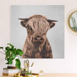 Bilderwelten Leinwandbild Tiere Motiv Kunstdruck schwarz weiss - Baby Hochlandrind Henri - Wandbild XXL Kinderzimmer Baby M&auml;dchen Jungen