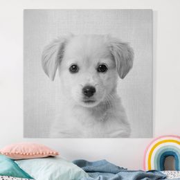 Bilderwelten Leinwandbild Tiere Motiv Kunstdruck schwarz weiss - Baby Golden Retriever Gizmo Schwarz Wei&szlig; - Hund XXL Kinderzimmer Baby M&auml;dchen Jungen