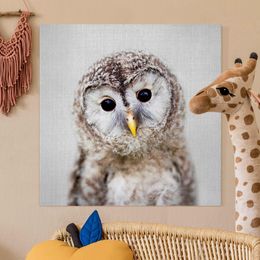 Bilderwelten Leinwandbild Tiere Motiv Kunstdruck schwarz weiss - Baby Eule Erika - V&ouml;gel XXL Kinderzimmer Baby M&auml;dchen Jungen