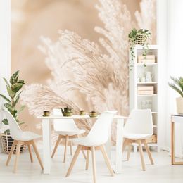 Bilderwelten Fototapete Vliestapete Landhaus Wandtapete beige - Zartes Pampasgras im Sonnenlicht - Gr&auml;ser Wohnzimmer Schlafzimmer