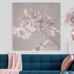 Bilderwelten Leinwandbild Blumen Landhaus Kunstdruck beige - Zarte wei&szlig;e Hortensie - Wandbild XXL Wohnzimmer Schlafzimmer