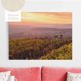 Bilderwelten Leinwandbild Weinplantage bei Sonnenuntergang