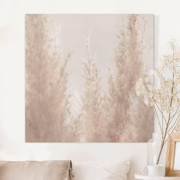 Bilderwelten Leinwandbild Landhaus Kunstdruck beige - Goldenes Pampasgras Close Up - Gr&auml;ser XXL Wohnzimmer Schlafzimmer