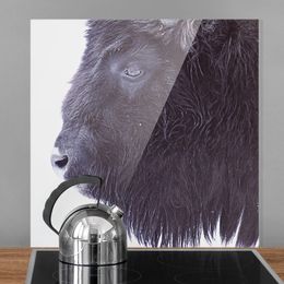 Bilderwelten Glas Spritzschutz Motiv weiss Tiere - Schwarzer B&uuml;ffel im Portrait - Deko K&uuml;chenr&uuml;ckwand aus Glas