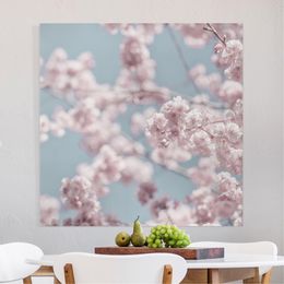 Bilderwelten Leinwandbild Blumen Landhaus Kunstdruck rosa - Kirschbl&uuml;tenparty - Kirschbl&uuml;te XXL Wohnzimmer Schlafzimmer
