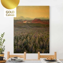 Bilderwelten Leinwandbild Natur Motiv Kunstdruck violett - Lavendelfeld in Frankreich - Landschaft XXL Wohnzimmer Schlafzimmer