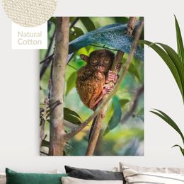 Bilderwelten Leinwandbild Koboldmaki