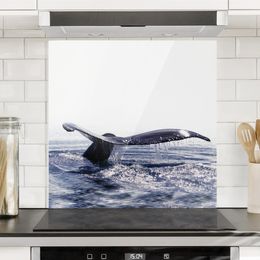 Bilderwelten Glas Spritzschutz Motiv blau Tiere - Wal Gesang auf Island - Deko K&uuml;chenr&uuml;ckwand aus Glas