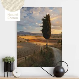 Bilderwelten Leinwandbild Feldweg mit Baum