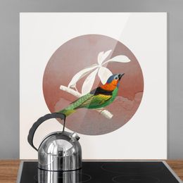 Bilderwelten Glas Spritzschutz Illustration bunt Tiere Aquarell - Vogel Collage im Kreis II - V&ouml;gel K&uuml;chenr&uuml;ckwand aus Glas