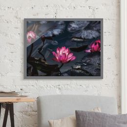 Bilderwelten Bild mit Rahmen Wasserlilien