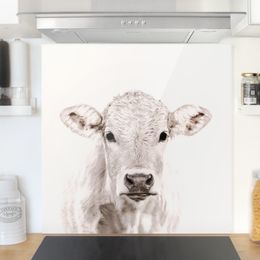 Bilderwelten Spritzschutz Wei&szlig;es Kalb