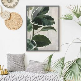 Bilderwelten Bild mit Rahmen Tropische Pflanzenstudie