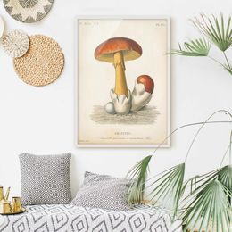 Bilderwelten Bild mit Rahmen Kulinarisch beige Vintage inkl. Rahmung - Franz&ouml;sische Pilze - Retro Wohnzimmer Schlafzimmer