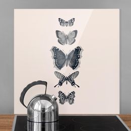 Bilderwelten Glas Spritzschutz Illustration grau Tiere - Tusche Schmetterlinge auf Beige - Schmetterlinge K&uuml;chenr&uuml;ckwand aus Glas