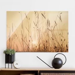 Bilderwelten Glasbild Blumen Landhaus beige Glas Wandbild - Ein traumhafter Sommerabend - Gr&auml;ser Wohnzimmer Schlafzimmer