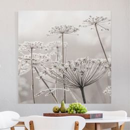 Bilderwelten Leinwandbild Landhaus Kunstdruck beige - Doldenbl&uuml;ten im Frost - Gr&auml;ser XXL Wohnzimmer Schlafzimmer