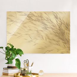 Bilderwelten Glasbild Landhaus beige Glas Wandbild - Bezauberndes Wiesengras - Gr&auml;ser Wohnzimmer Schlafzimmer