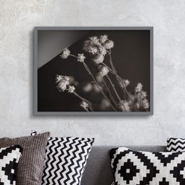 Bilderwelten Bild mit Rahmen G&auml;nsebl&uuml;mchen Studie