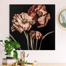 Bilderwelten Leinwandbild Blumen Motiv Kunstdruck schwarz - Dunkler Fr&uuml;hling - Wandbild XXL Wohnzimmer Schlafzimmer