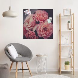 Bilderwelten Glasbild Blumen Landhaus rosa Glas Wandbild - Rosentr&auml;ume - Rose Wohnzimmer Schlafzimmer