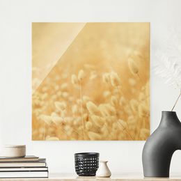 Bilderwelten Glasbild Blumen Landhaus beige Glas Wandbild - Zarte Gr&auml;ser - Gr&auml;ser Wohnzimmer Schlafzimmer