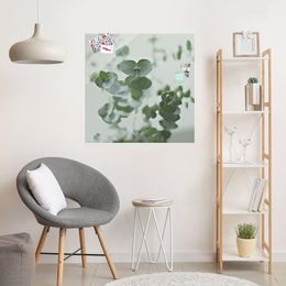 Bilderwelten Glasbild Tropisch gr&uuml;n Glas Wandbild - Wachsende Eukalyptuszweige - Pflanzen Wohnzimmer Schlafzimmer