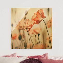 Bilderwelten Glasbild Blumen Motiv rot Glas Wandbild - Mohnbl&uuml;ten im Sommerwind - Mohn Wohnzimmer Schlafzimmer