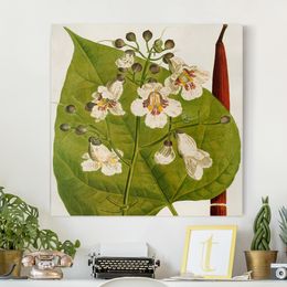 Bilderwelten Leinwandbild - Quadrat Tableau Blatt Bl&uuml;te Frucht V