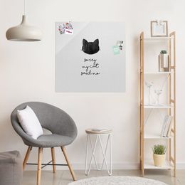 Bilderwelten Glasbild Tiere modern schwarz weiss Glas Wandbild - Haustier Zitat Sorry My Cat Said No - Katze Jugendzimmer