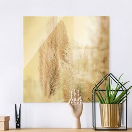 Bilderwelten Glasbild Blumen Landhaus beige Glas Wandbild - Pampasgras im Wei&szlig;en Licht - Gr&auml;ser Wohnzimmer Schlafzimmer